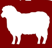 Sheep Icon – Harvest Hill Acres
